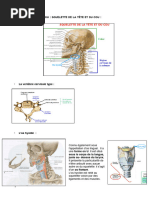 6 - Anatomie Des Os de La Face | PDF | Anatomie humaine | Appareil ...