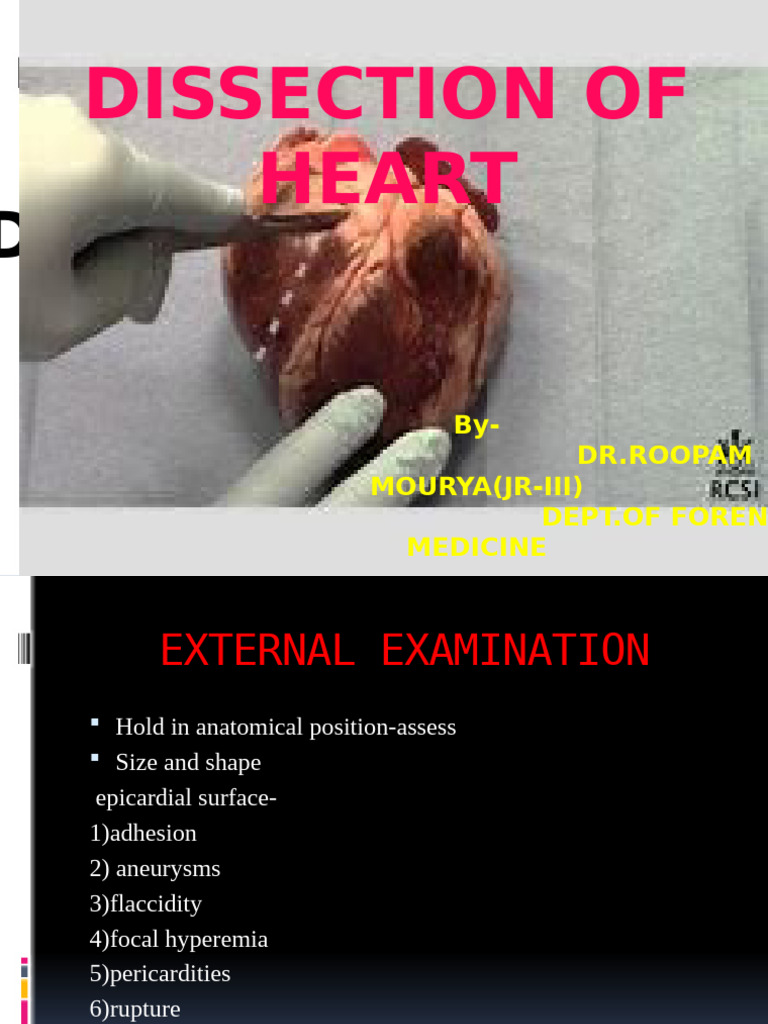 Heart Dissection Techniques and Findings | PDF | Coronary Circulation ...