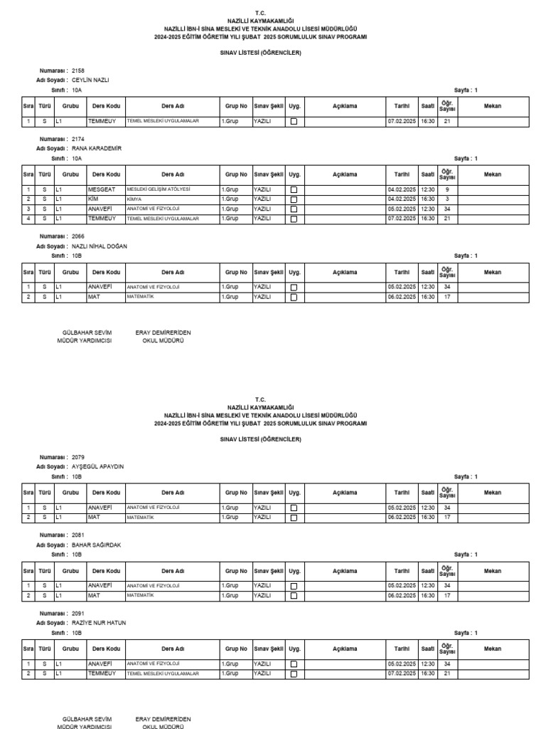 Temel Mesleki Uygulamalar | PDF