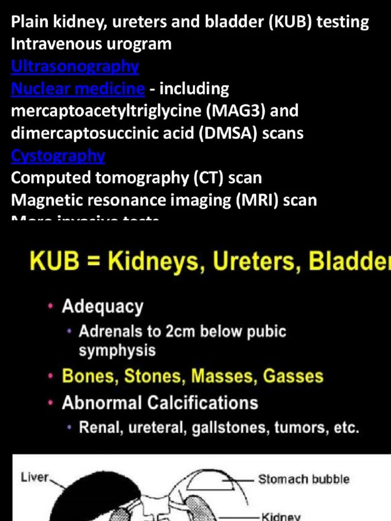 GU Diagnostic Imaging | PDF