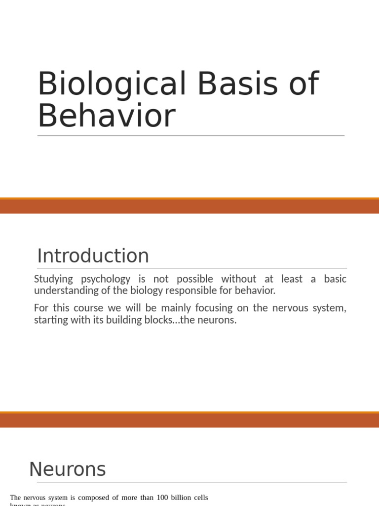 Understanding Neurons in Behavior | PDF