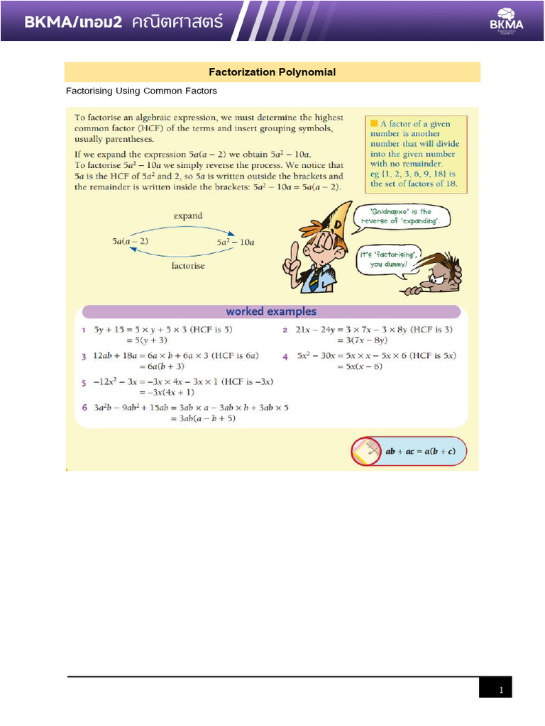 Factorization Polynomial: Factorising Using Common Factors | PDF