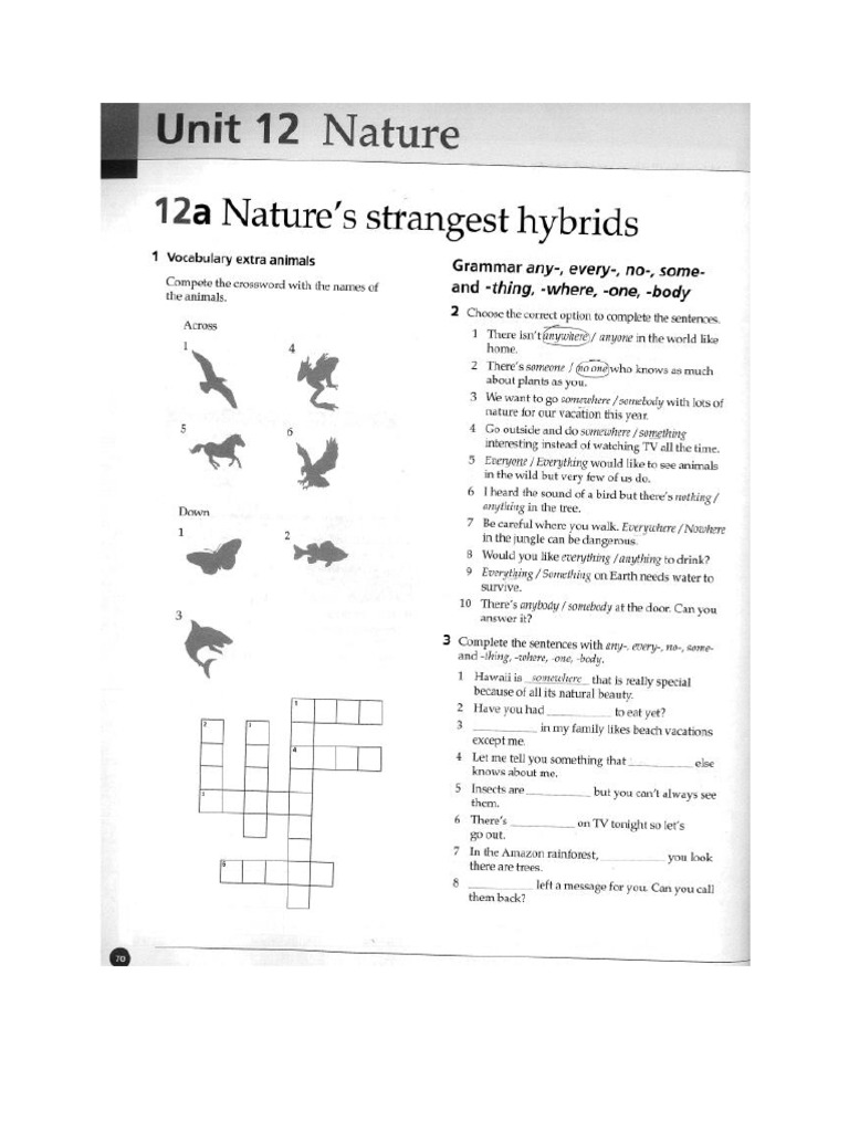 3B Unit 12 | PDF