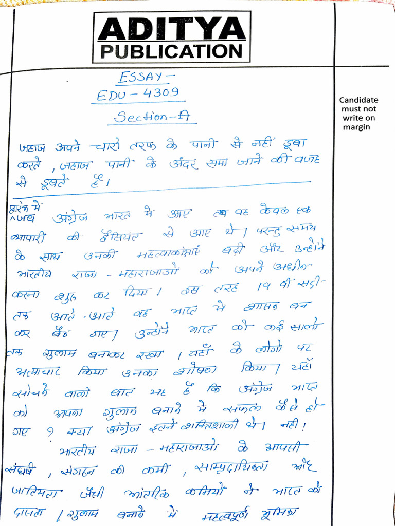 EDU4309 Essay Test | PDF