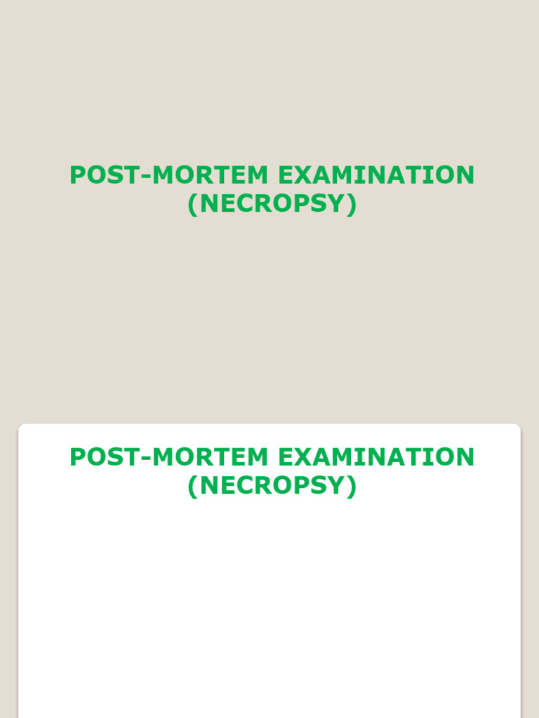 Practical PM Examination | PDF | Abdomen | Liver