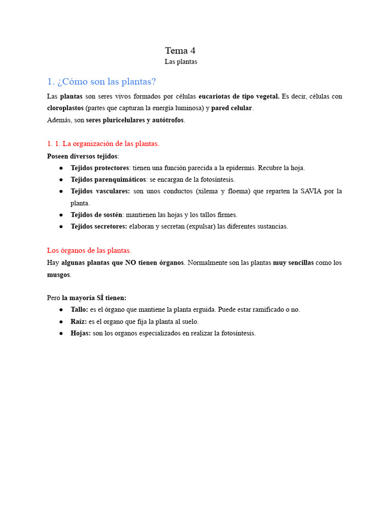 Estructura y Funciones de las Plantas | PDF | Plantas | Fotosíntesis