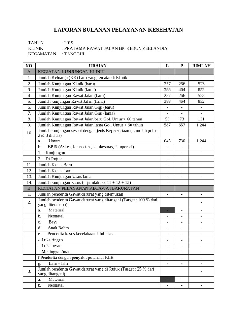 Format Laporan Wiwin | PDF