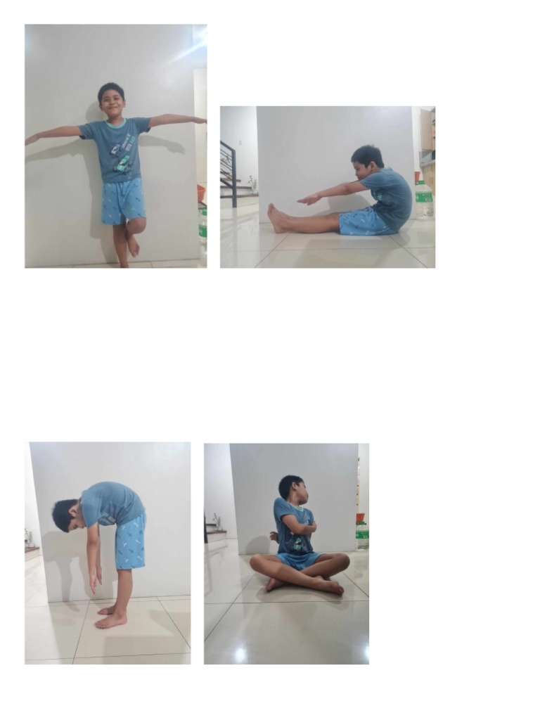 Locomotor Movements | PDF