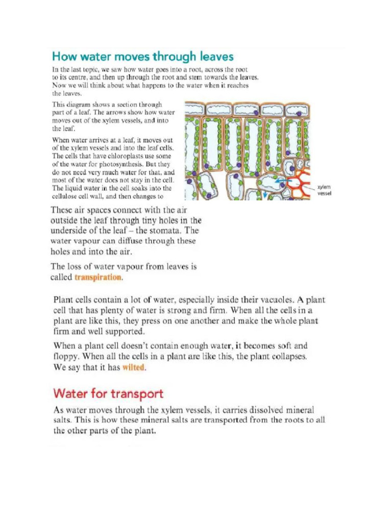Unit 4 Science Mock | PDF