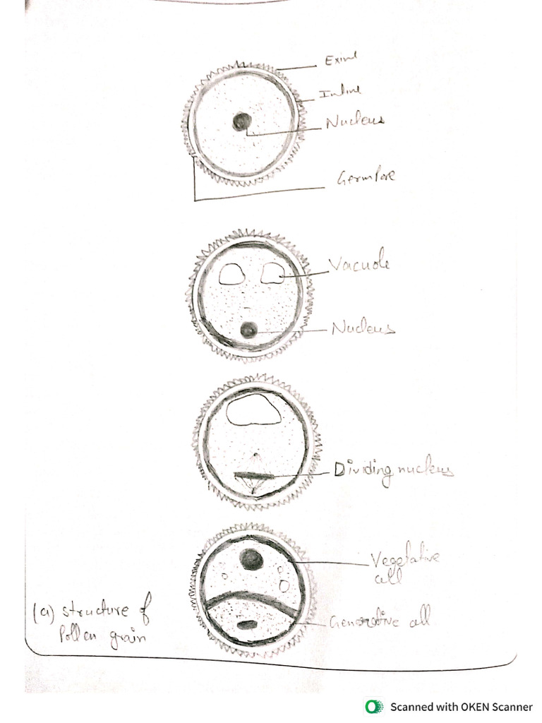 experiment 1-3 | PDF