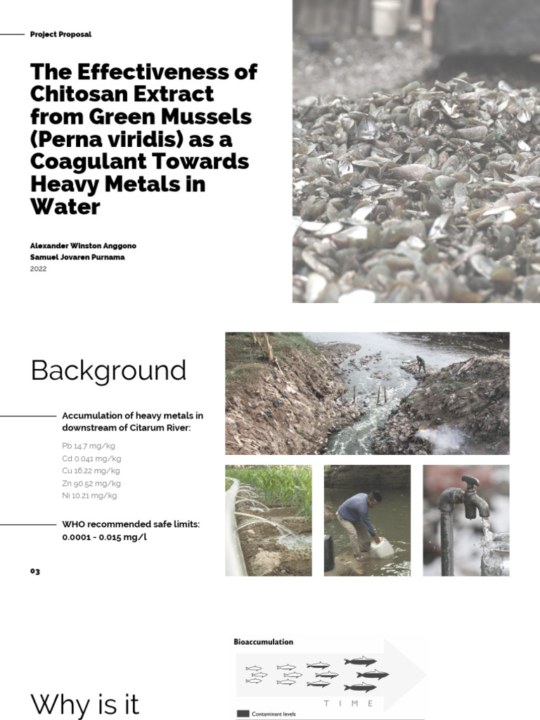 The Effectiveness of Chitosan Extract From Green Mussels (Perna Viridis ...