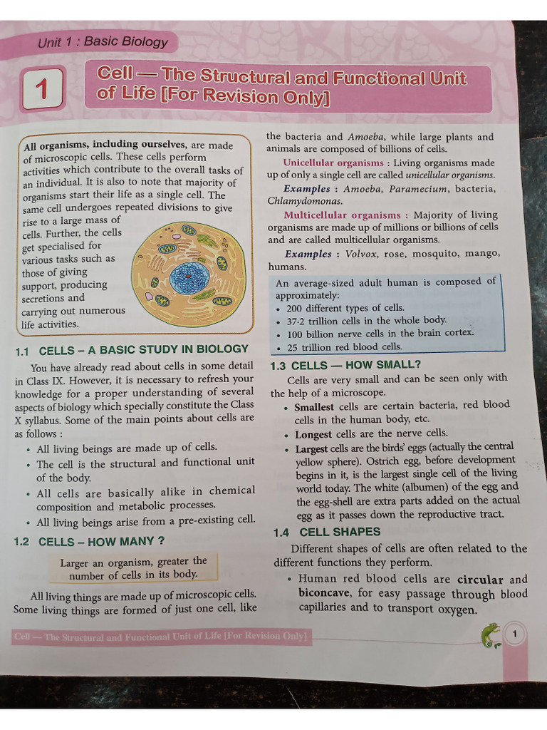 Cell | PDF