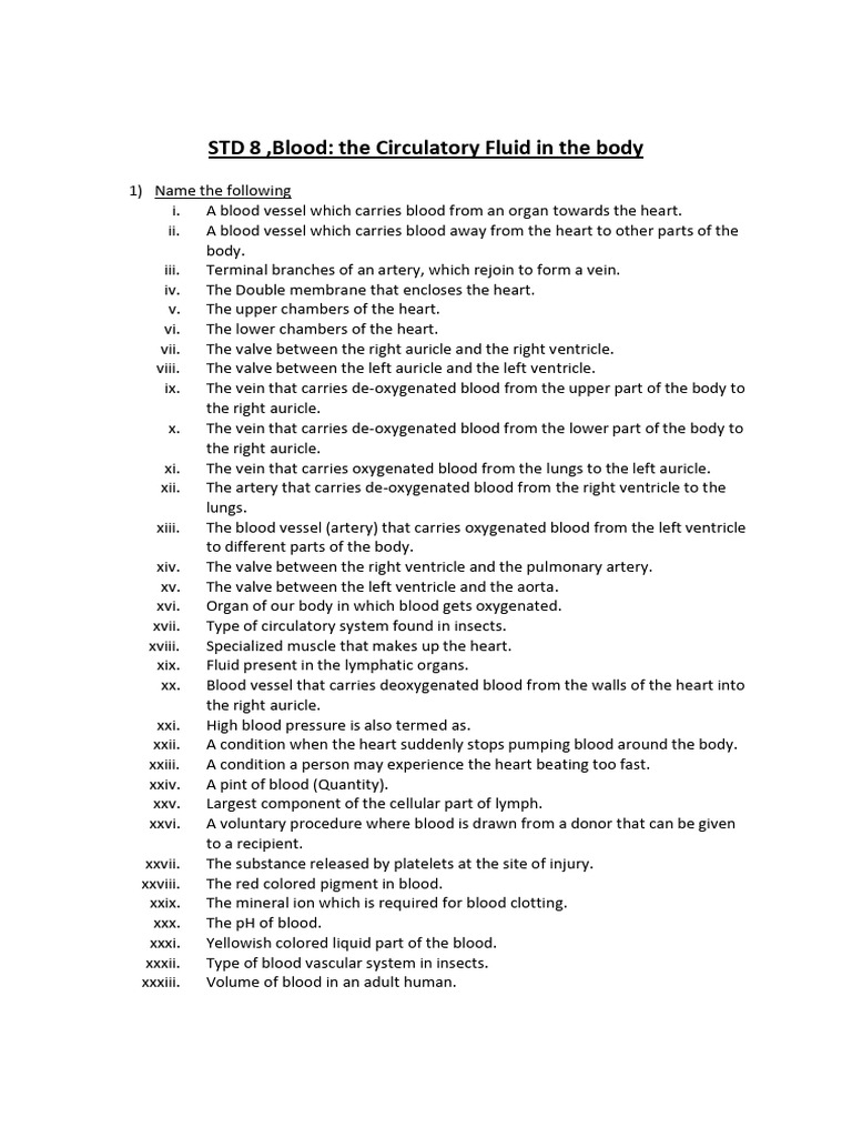 Circulatory System Worksheet 2-2 | PDF | Circulatory System | Heart