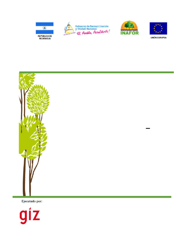 Lb Linea base uso y destino de la madera en nicaragua Giz Cavama Inafor ...
