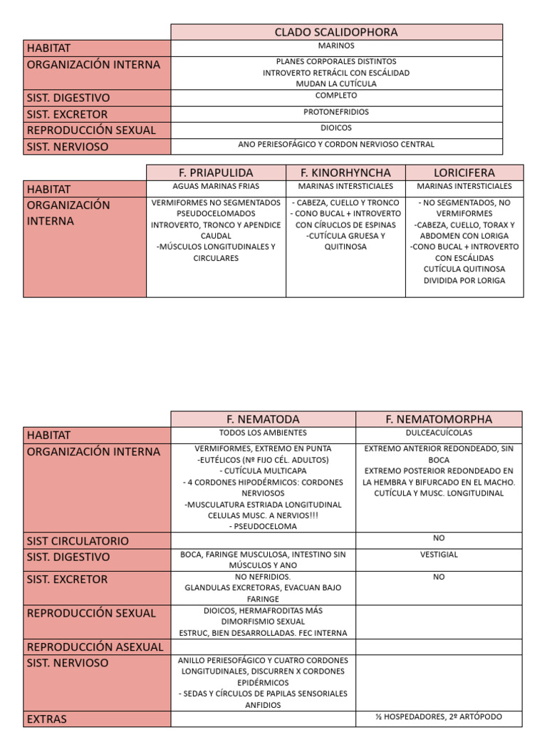 Tabla Tema 10 | PDF | Protostomas | Zoología