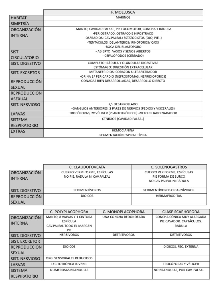 Tabla Tema 7 | PDF | Moluscos