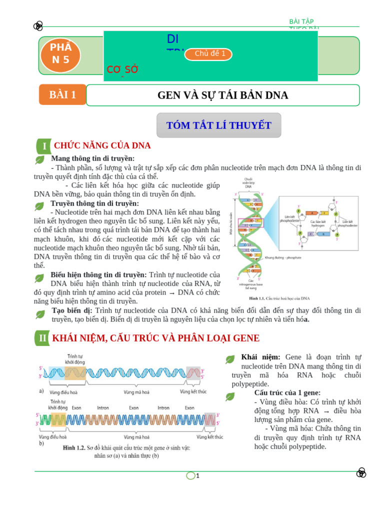 Bài 1 GENE VÀ S TÁI B N DNA | PDF