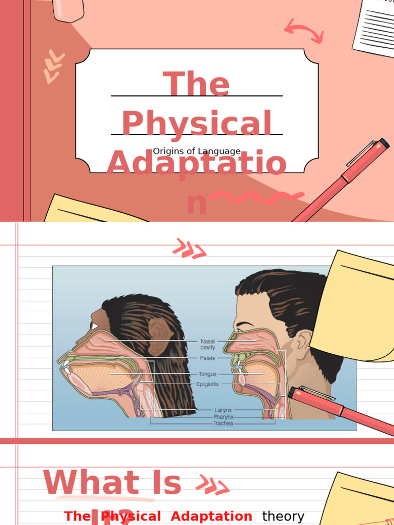 BaENL G1 The Physical Adaptation | PDF