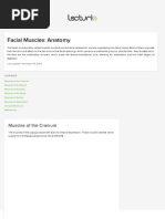 Lateral View of Facial Muscles | PDF | Soft Tissue | Human Anatomy