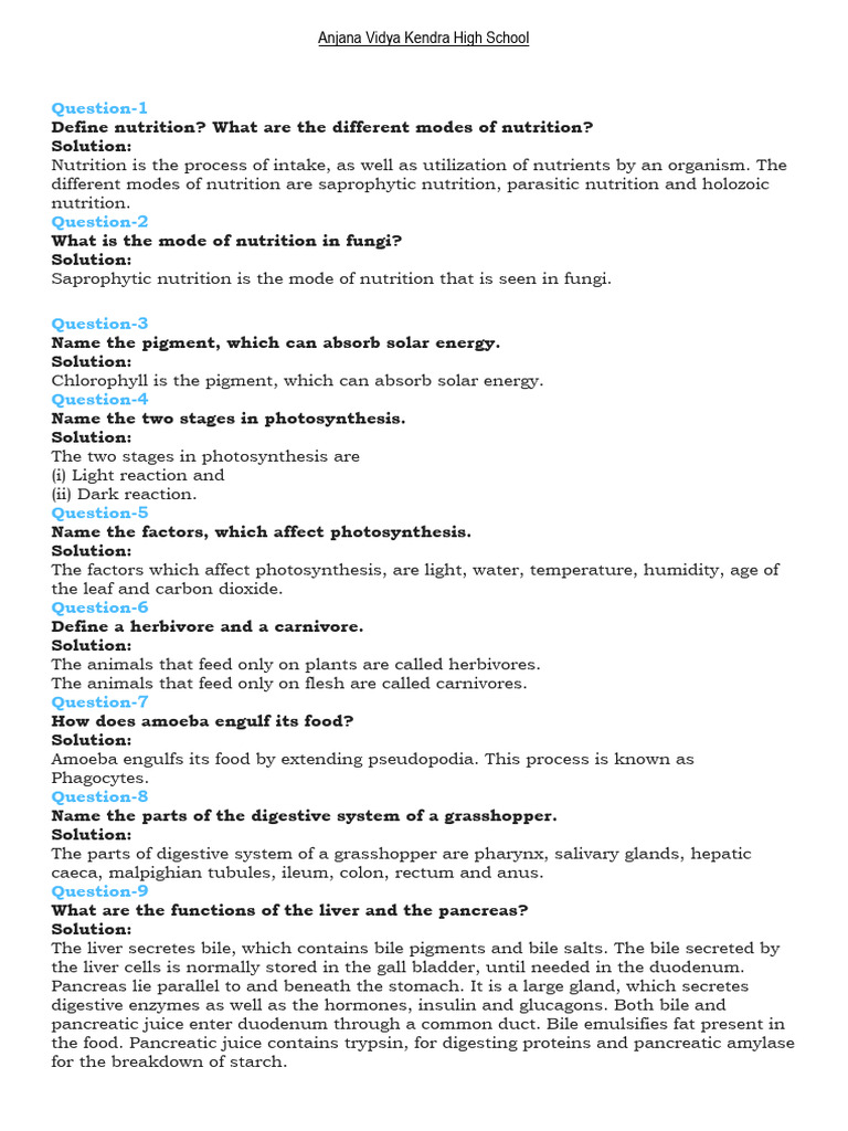 Key Questions on Life Processes | PDF | Photosynthesis | Respiratory System
