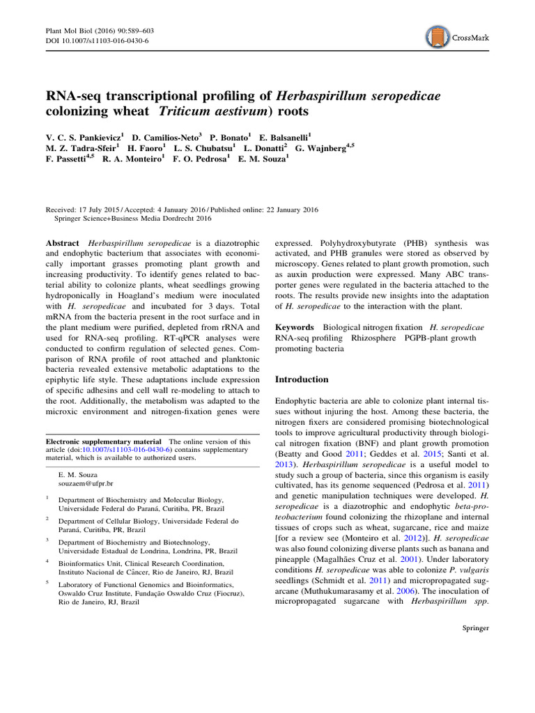 Pankievicz Et Al. 2015 | PDF