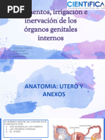 Partes de la Salpinge y Anatomía Asociada | PDF | Ovario | Pelvis