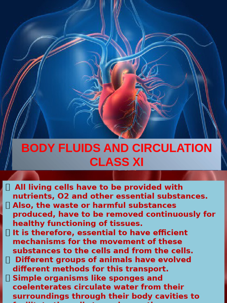 Body Fluids and Circulation in Animals | PDF