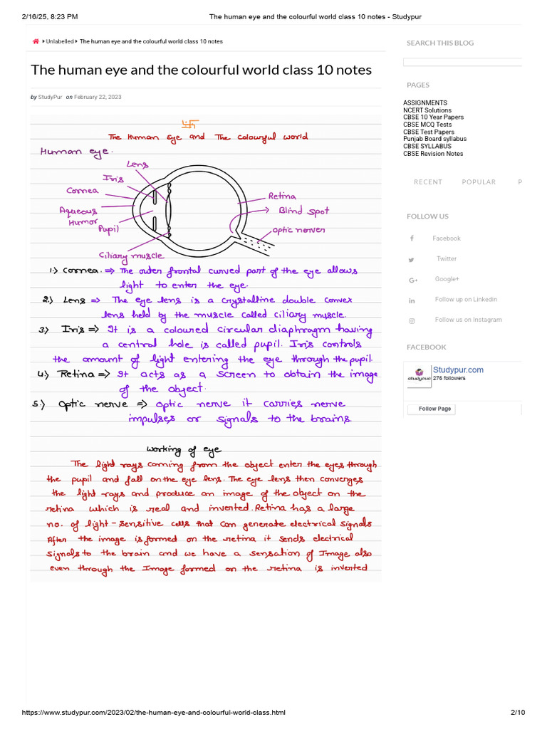 Class 10 Human Eye Notes PDF | PDF | Websites | Social Information ...