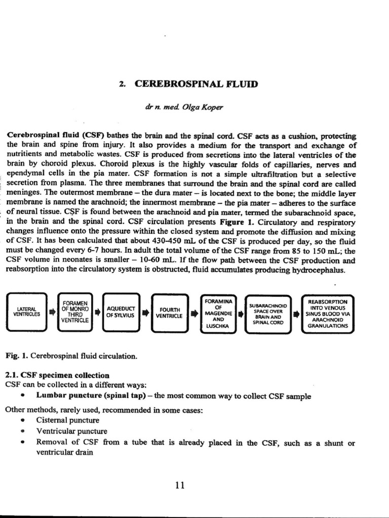 Class 11 CSF 2 | PDF