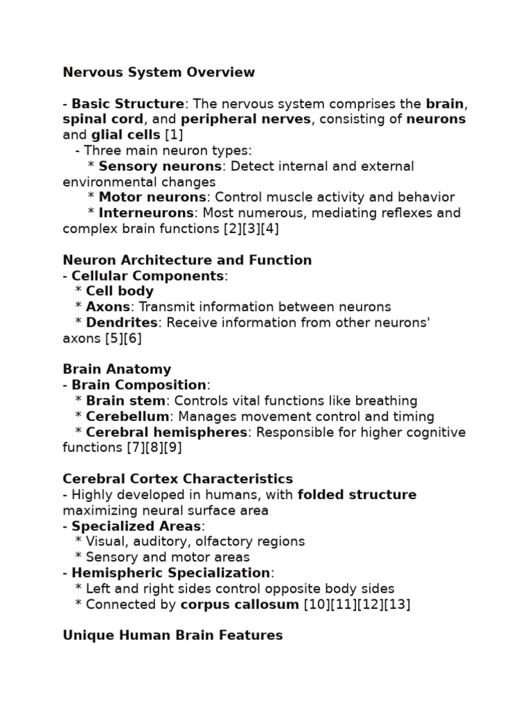 Nervous System Structure and Functions | PDF