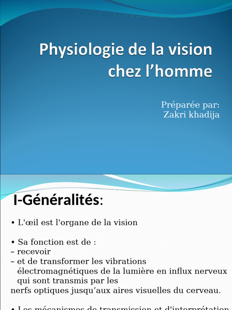 Physiologie de la vision humaine | PDF | Synapse | Rétine