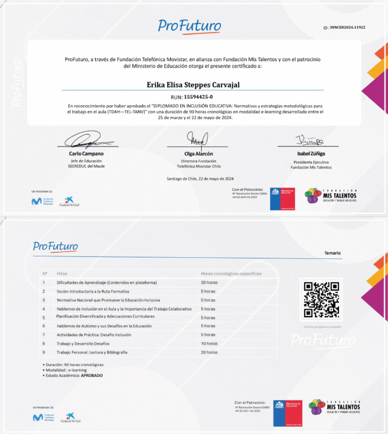 Compilado Diplo V1 Inclusión 6305 12610 1221 | PDF