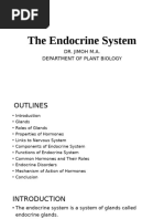 Endocrine System | PDF | Endocrine System | Hormone