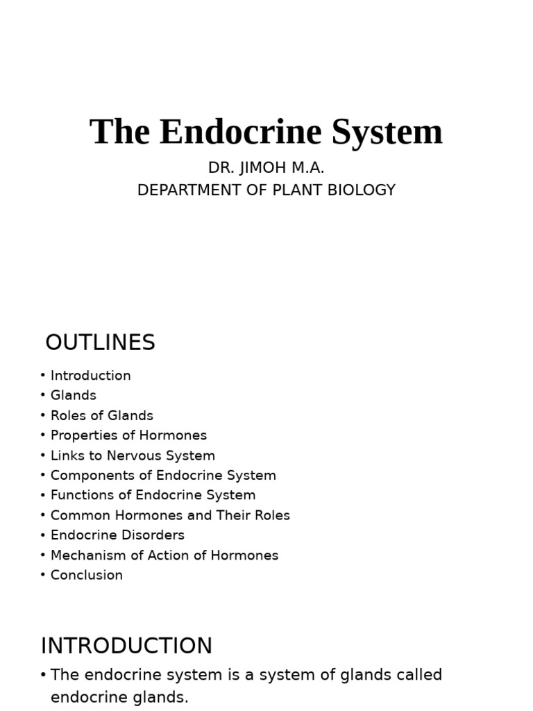 The Endocrine System | PDF | Hormone | Endocrine System