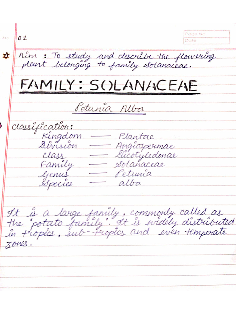 Biology Project | PDF