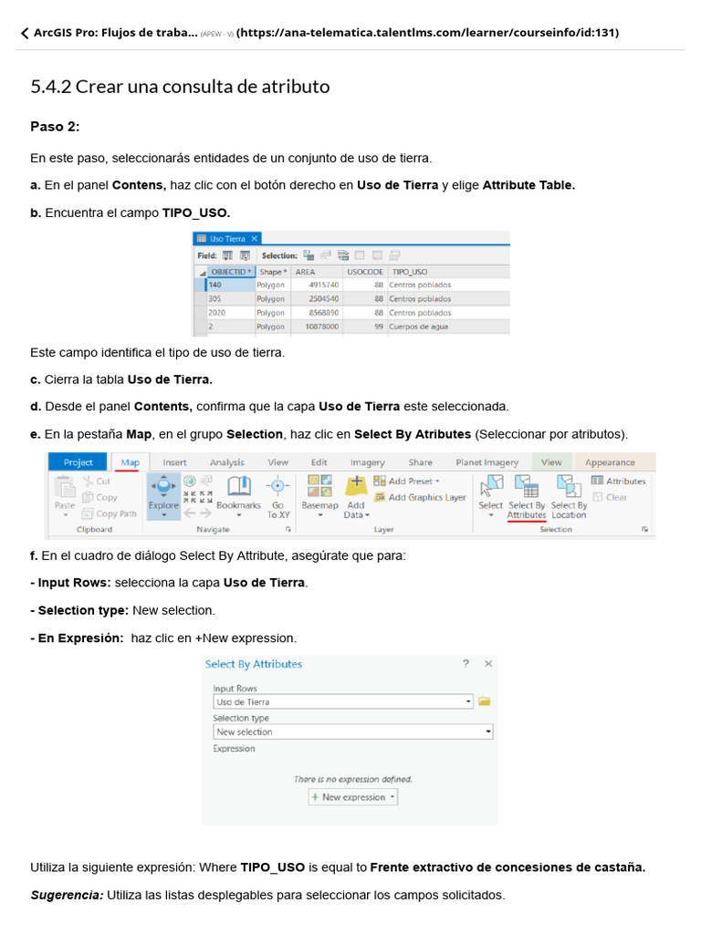 5.4.2 Crear Una Consulta de Atributo | PDF