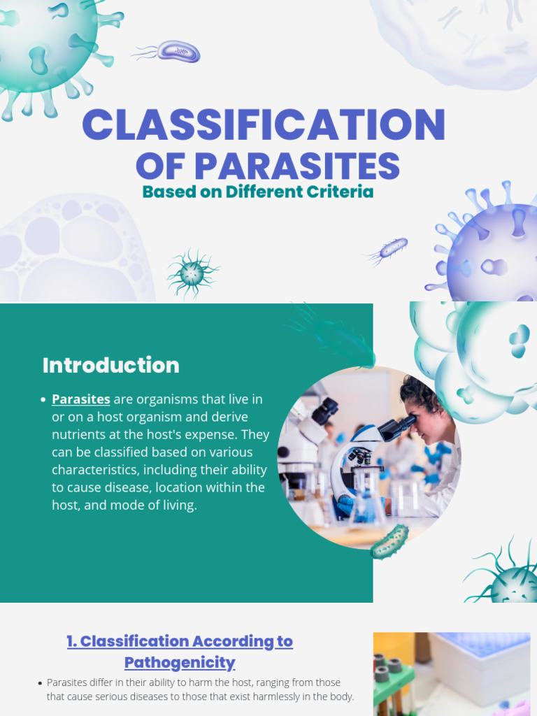 Parasite Classification Explained | PDF | Parasitism | Immune System