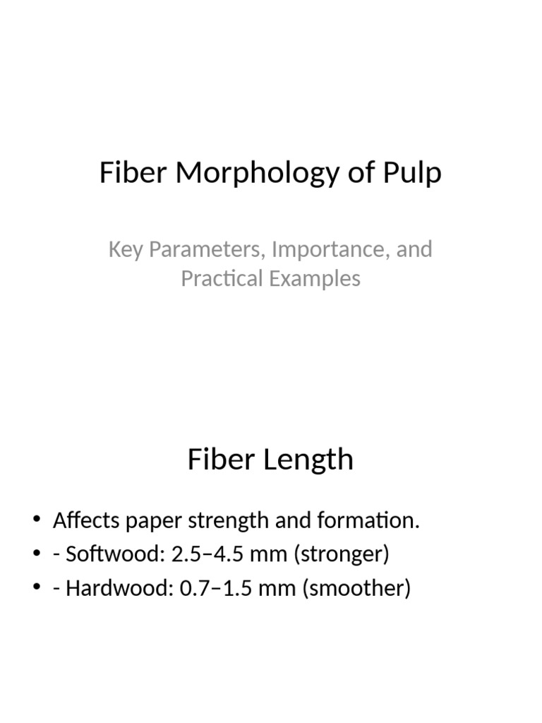 Fiber Morphology Pulp | PDF