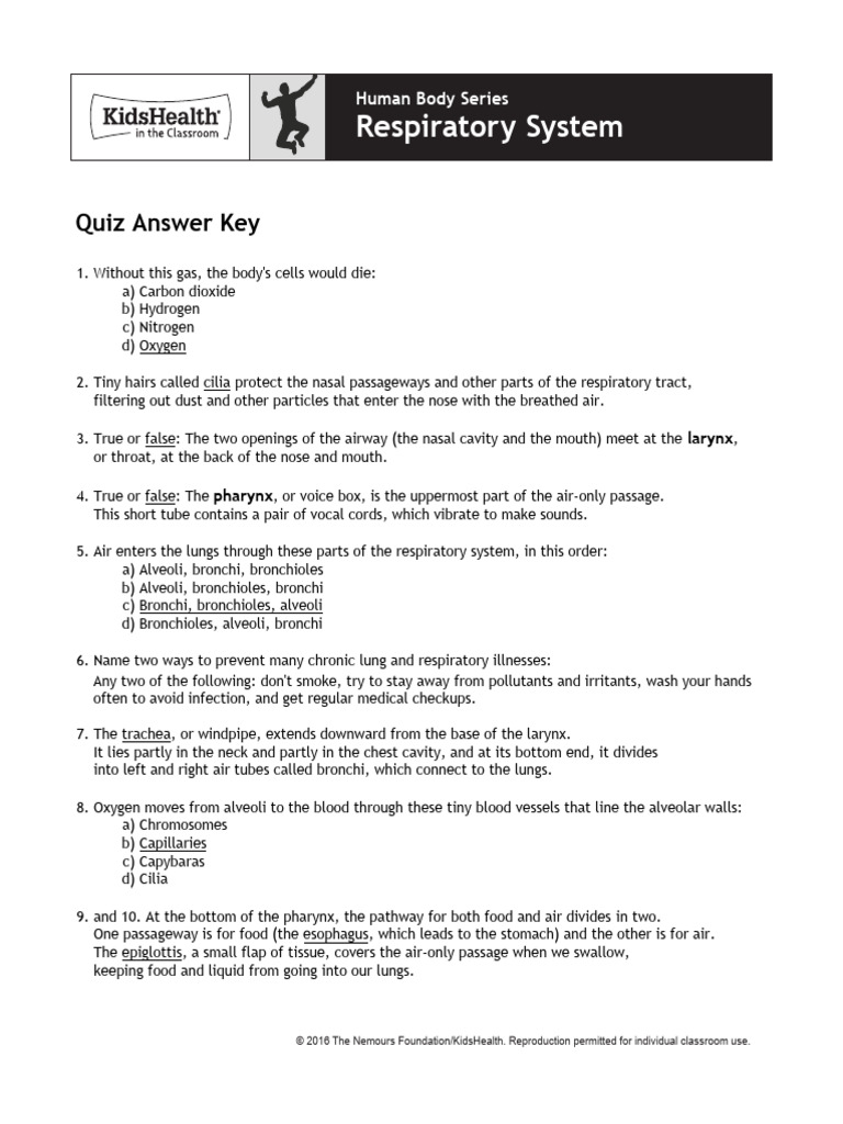 Respiratory Quiz Answers | PDF