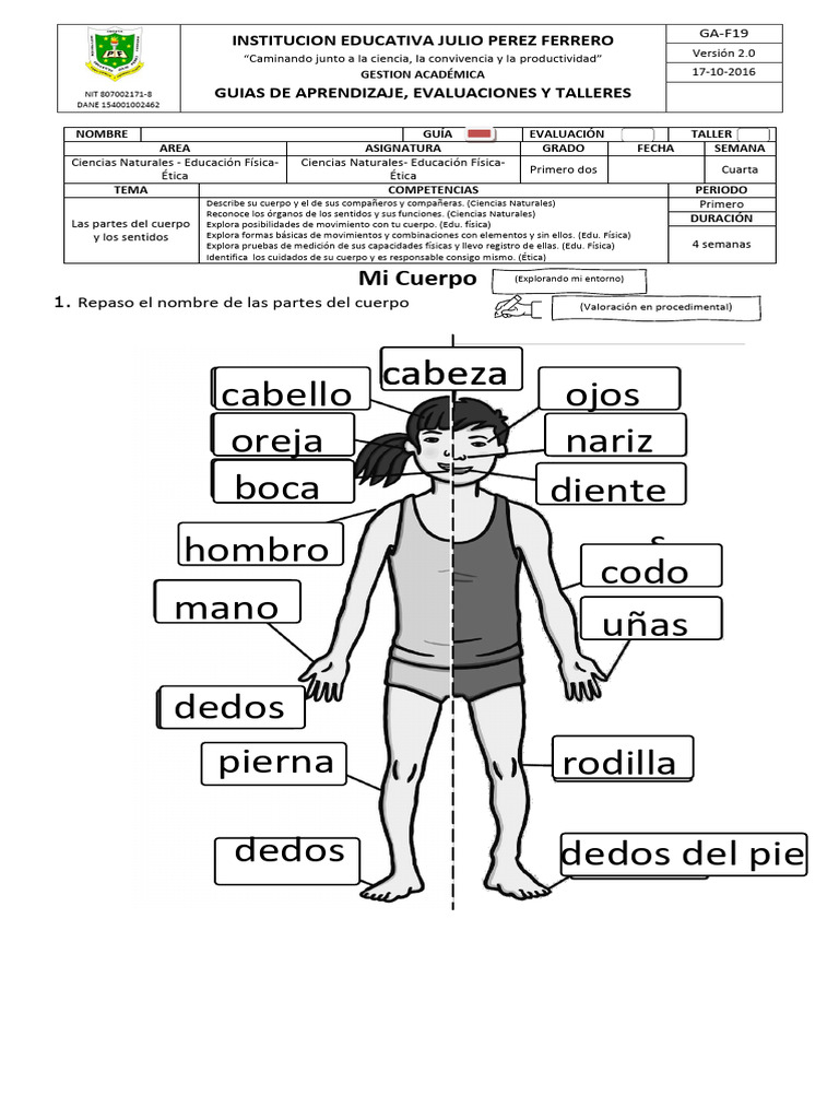 Guía de Aprendizaje: Mi Cuerpo y Sentidos | PDF