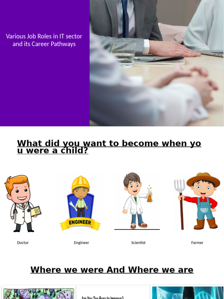Various Job Roles in IT Sector and Its Career Pathways | PDF