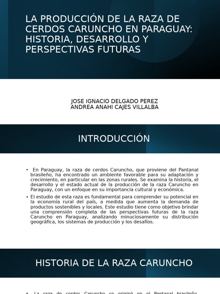 Producción de Cerdos Caruncho en Paraguay | PDF | Carne | Cerdo