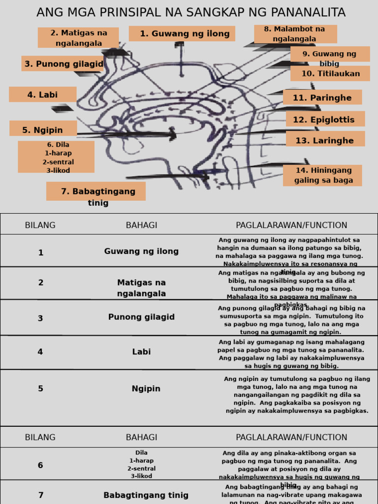 Tsart Prelim Output - Prinsipal Na Sangkap NG Pananalita | PDF