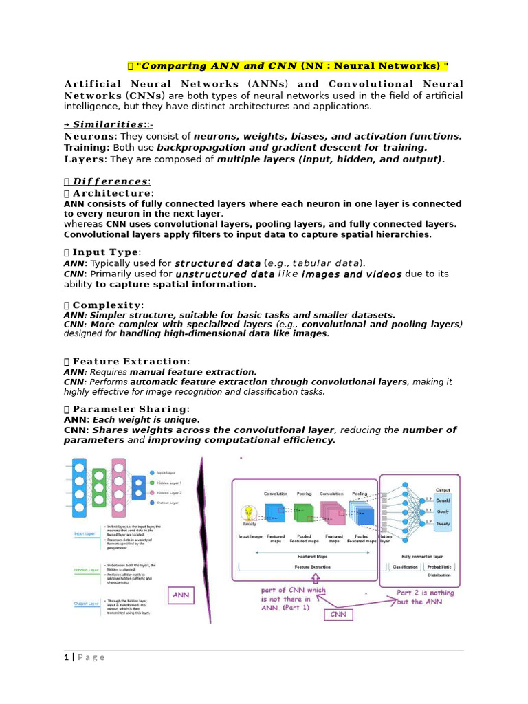 Differences Between ANN and CNN | PDF