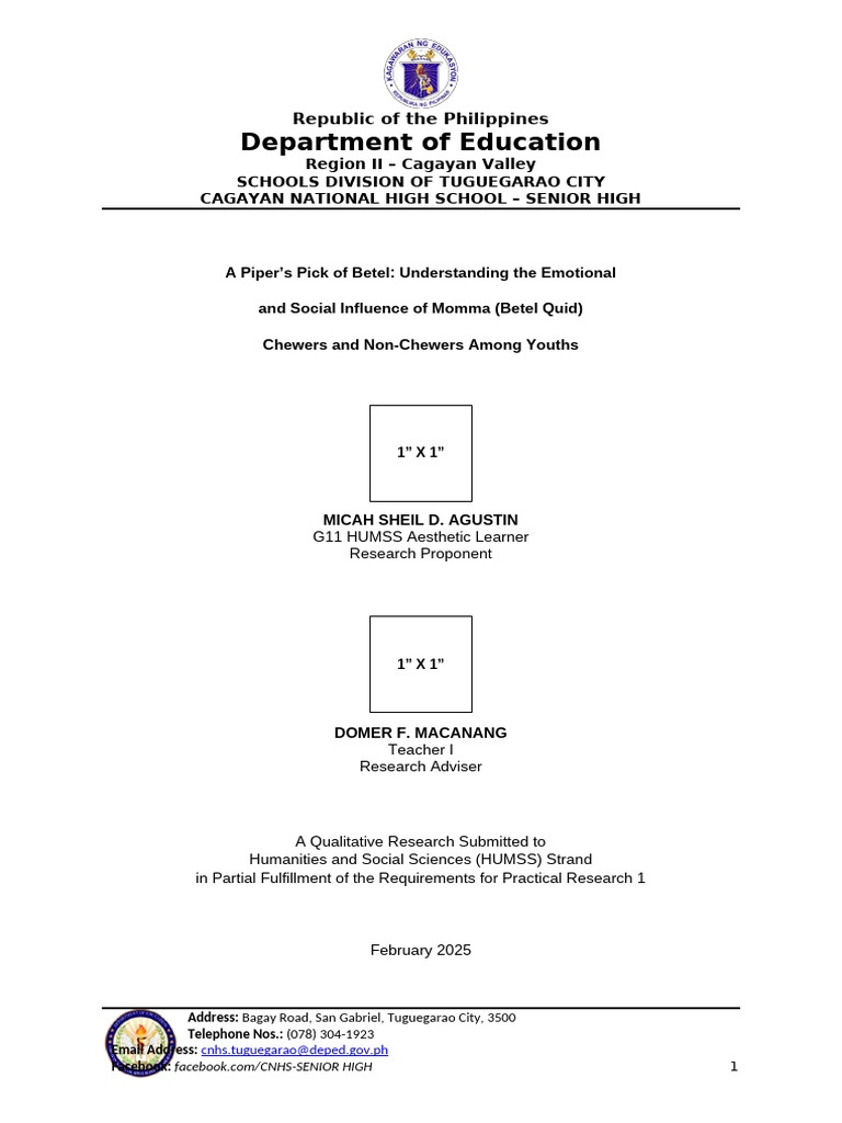 Qualitative Research Template 1 Pdf