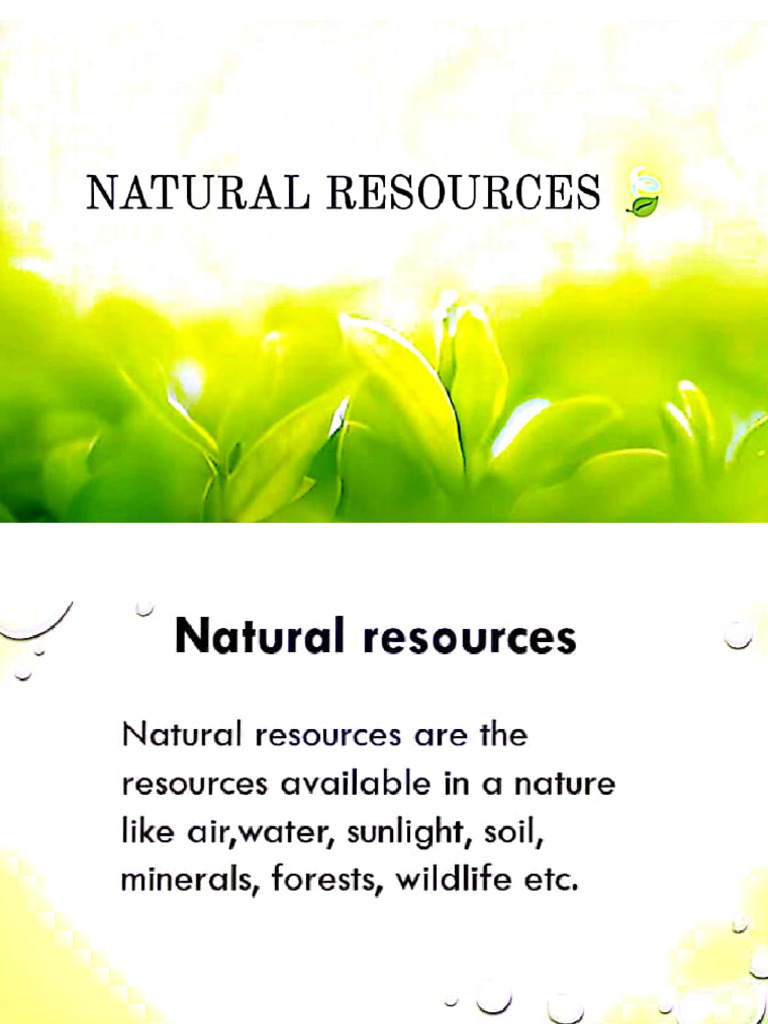 Natural Resources PDF | PDF