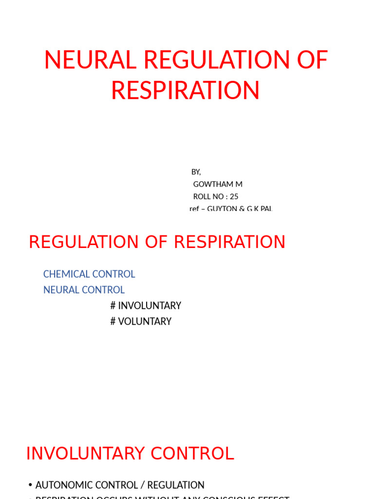 Nural Regulation of Respiration | PDF | Respiratory System | Physiology