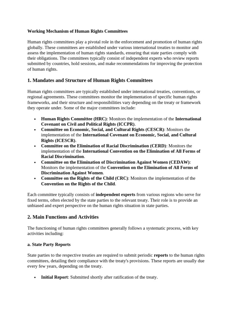 Working Mechanism of Human Rights Committees | PDF | Human Rights | Treaty