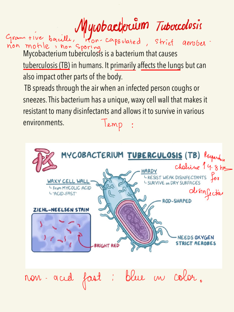 Tuberculosis | PDF | Tuberculosis | Mycobacterium Tuberculosis