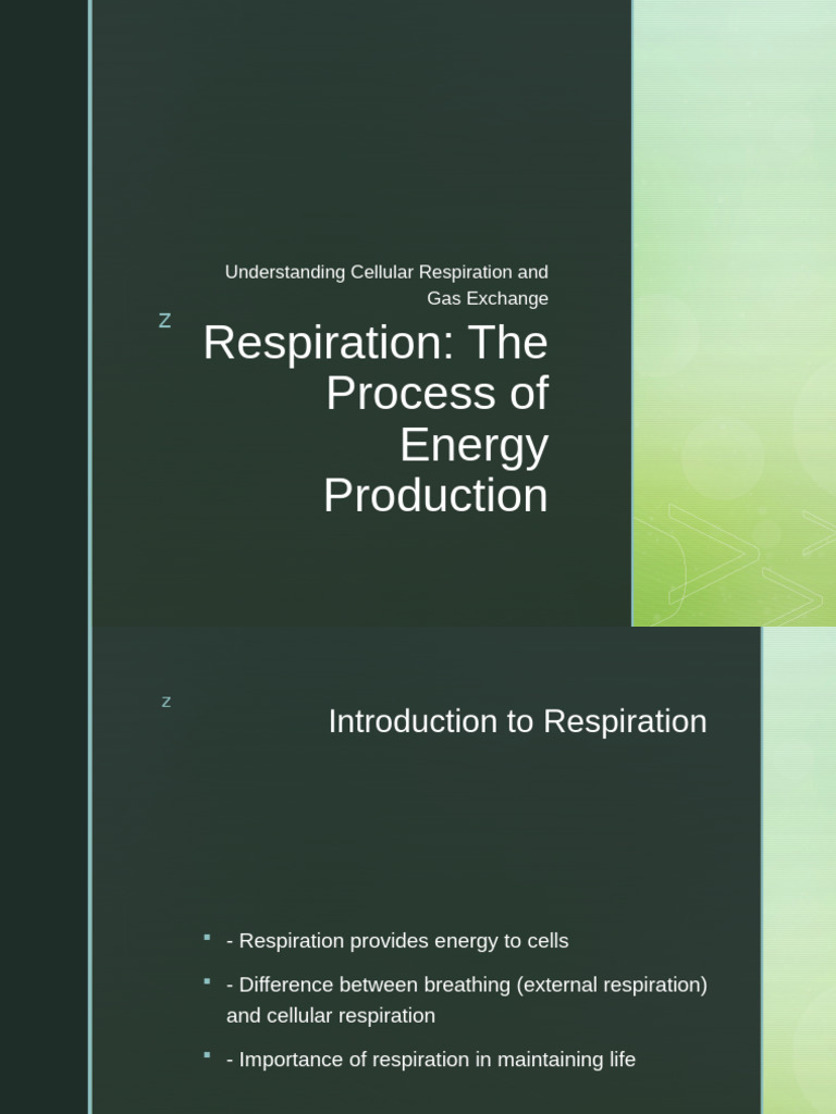 Cellular Respiration Explained | PDF